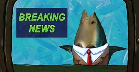 Image Suggestion Thread New Crowner 09 February 2025 Tv Tropes Forum