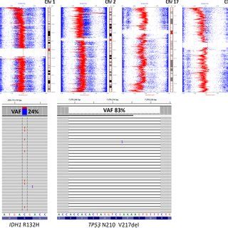 Single Nucleotide Polymorphism SNP Array Data Using Illumina Download Scientific Diagram