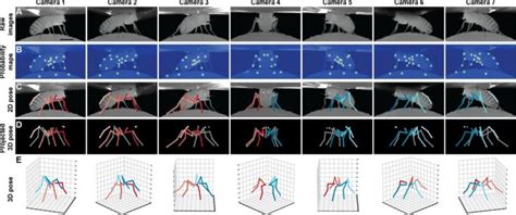 Deepfly3d Openbehavior