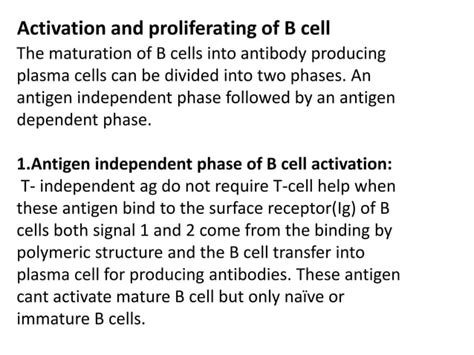 Activation And Proliferating Of B Cell Pptx