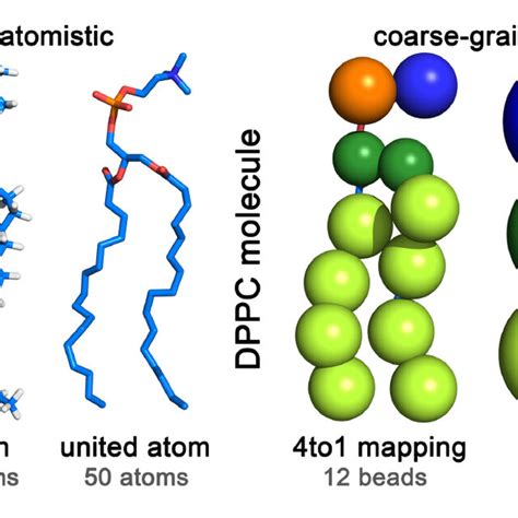 A Dppc Molecule In Atomistic Ua Martini 4 To 1 And Cooke Download Scientific Diagram