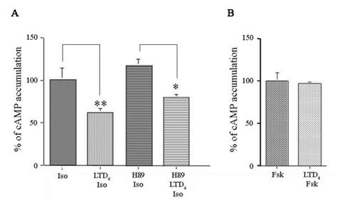 Effect Of Exogenous Ltd4 Challenge On Isoproterenol Or Download