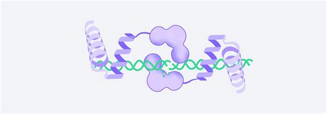 Gene Editing A Primer