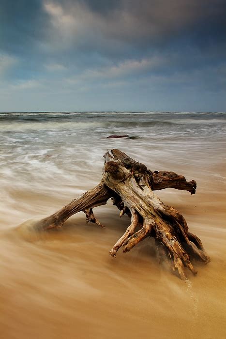 Pin By Seb Hej On Amazing Places Driftwood Beach Beautiful Nature