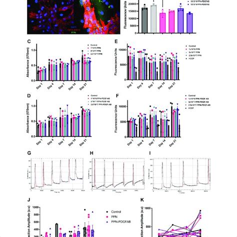 Intracellular Presence Of Plasma Polymerized Nanoparticles Is Non Toxic