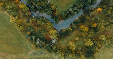 무성한 녹지를 가로지르는 강의 조감도 사진 Unsplash의 필드 이미지