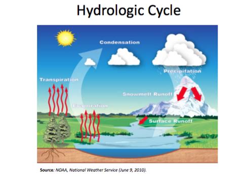 ECON LAST TEST Flashcards Quizlet