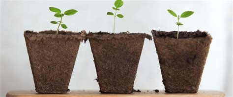 Any Hidden Gems💎 What Lesser Known Resources Boost Coding Skills