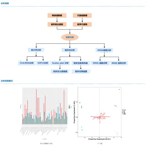 转录组＋代谢组联合分析 多组学联合分析 四川中天伟能科技有限公司