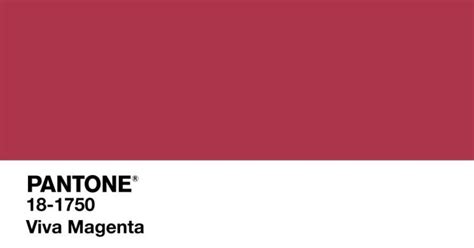 올해의 컬러 비바 마젠타는 웜 톤 쿨 톤 내 톤에 맞는 비바 마젠타 립 고르기선배s 어드바이스 156