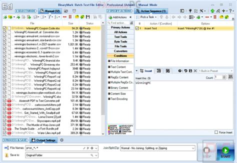 Binarymark Batch Text File Editor Professional Free Key