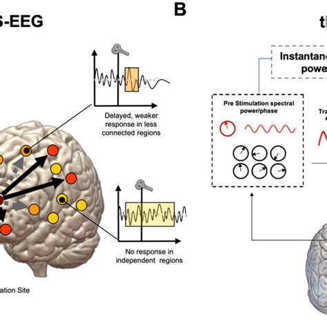 Perturbation Based Sleep Biomarkers Via Combined Tms Eeg And Tes Eeg
