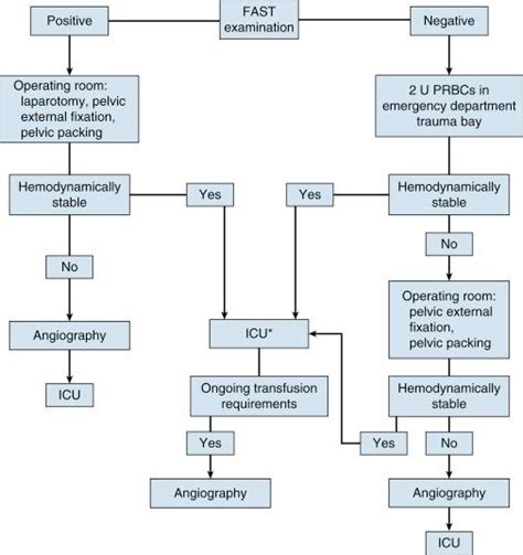 Fractures And Dislocations About The Hip And Pelvis Clinical Tree