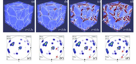 A D Microstructure Evolution During A Precipitation In The Rt B