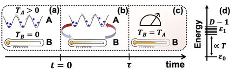 Schematic Representation Of A Standard Thermometry Protocol A The Download Scientific