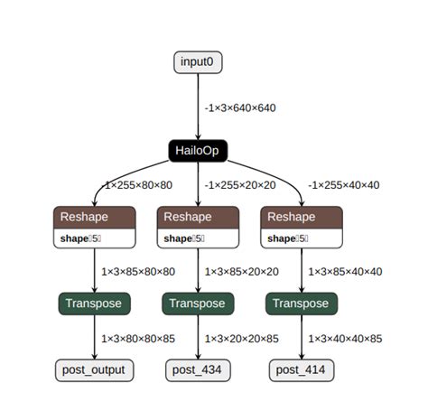 Onnxruntime Why Are All Nodes Executed On The Cpu General Hailo Community