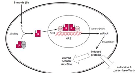 6 Pdsa Flashcards Quizlet