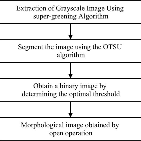 Grayscale Image After Improved Super Greening Algorithm Download
