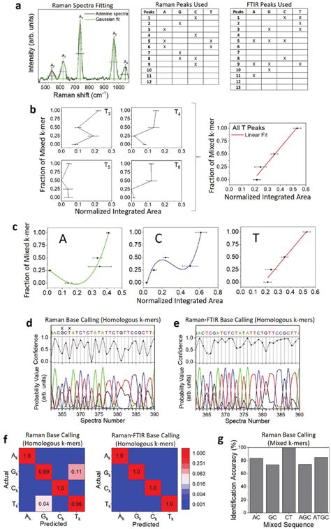 Base Calling Dna K Mer Blocks A Fitting And Characterizing Homologous