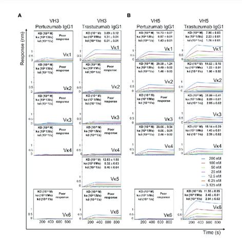 Dissociation Equilibrium Constants Kd Of Pertuzumab And Trastuzumab