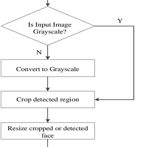 Flowchart Of The Image Pre Processing Stage Download Scientific Diagram