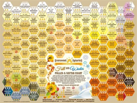 Welcome To Eversweet Apiaries Bee Keeping Bee Pollen