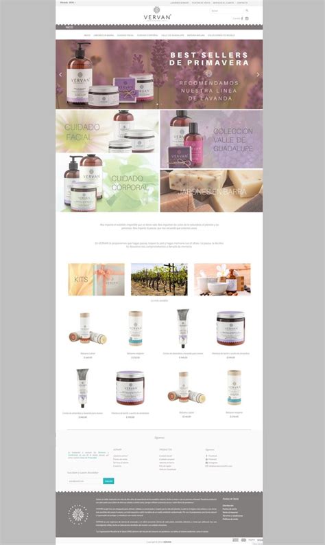 Magento E Commerce Development Service At ₹ 14999month In Indore