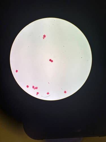 Biol 1030 Lab 4 Flashcards Quizlet