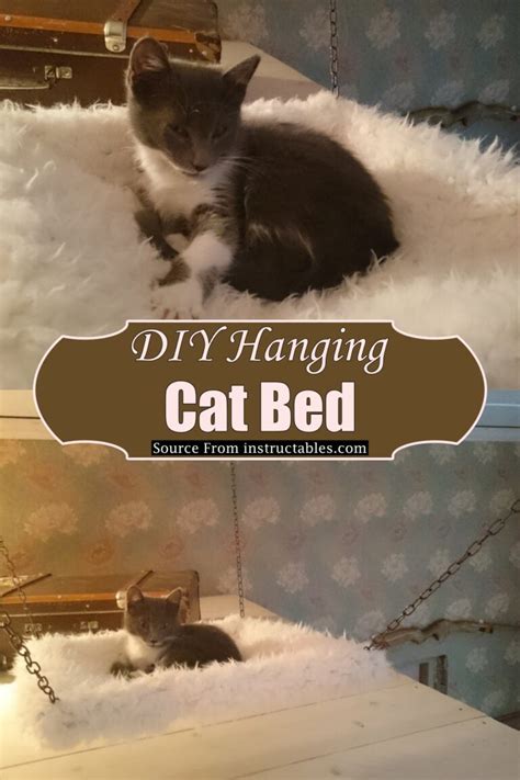 7 Eco Friendly Diy Cat Bed Ideas The Newlywed