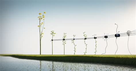 Punctuated Equilibrium R Aiart