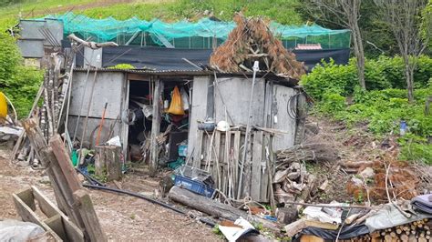 오지 골짜기 별난 이런집 있다니 놀람 태백 산경이 끝내줘승객을 모시고 골짜기 산골집 마지막 화전민 주거 Youtube