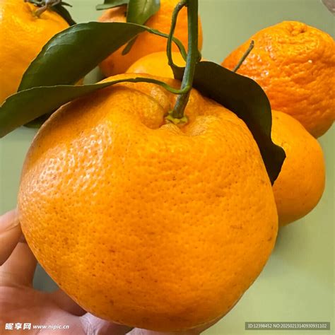 耙耙柑摄影图 水果 生物世界 摄影图库 昵图网