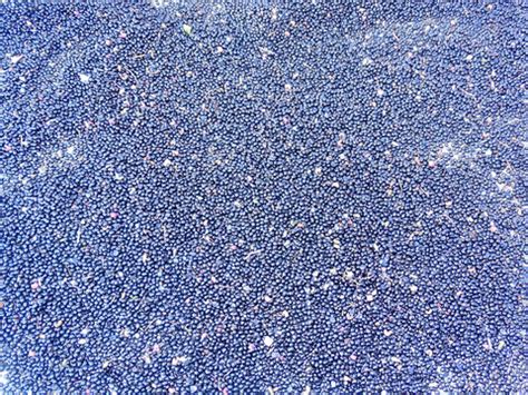 颗粒图片素材 颗粒设计素材 颗粒摄影作品 颗粒源文件下载 颗粒图片素材下载 颗粒背景素材 颗粒模板下载 搜索中心