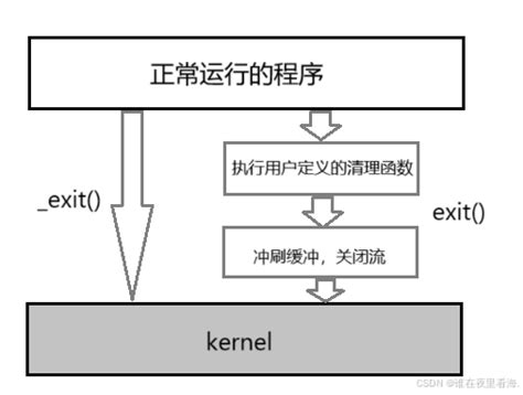 【linux】进程的生命之旅——诞生、消逝与守候（fork exit wait） fork wait exit kill sleep操作系统