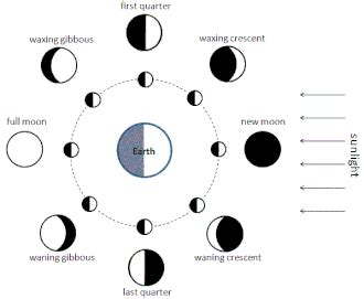 Lunar Phase Wikipedia