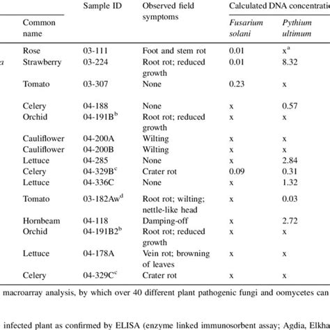 Real Time Pcr Quantification Of Fungal And Oomycete Genomic Dna In Download Table