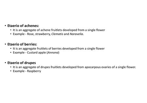 Types Of Fruit And Its Classifications Without Diagrams Ppt