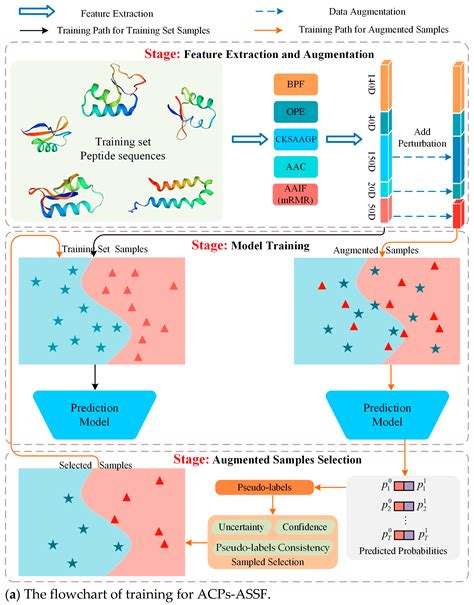 An Augmented Sample Selection Framework For Prediction Of Anticancer