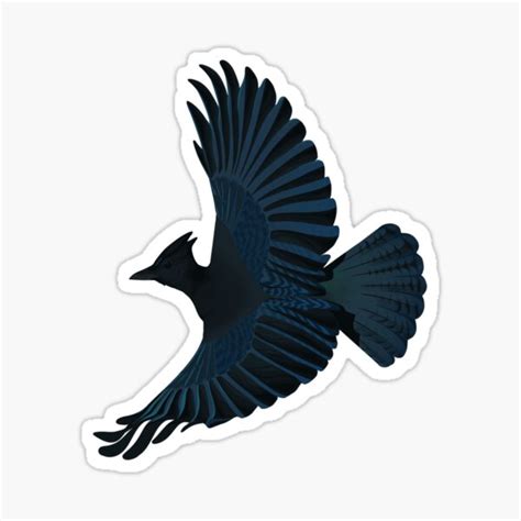 Stellers Jay Sticker For Sale By Kaiwal Redbubble