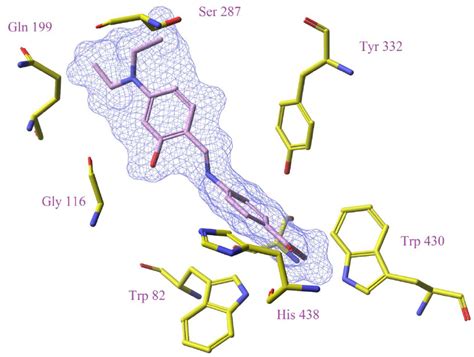 Binding Orientation And Interaction Of Compound 3j At The Active Site