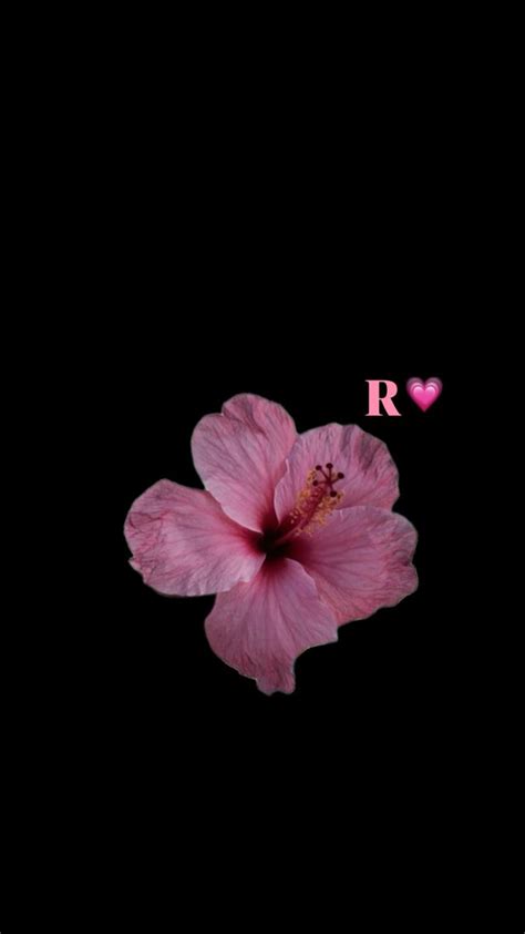 R Pfp Aesthetic
