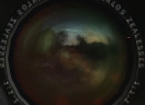 Til You Can Kinda See Your Reflection In Sniper Scopes R Blackops2