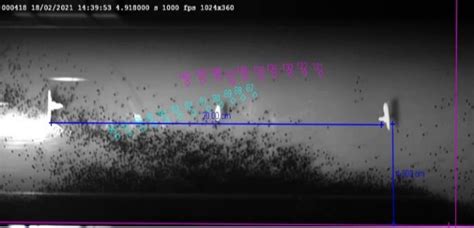 Particle Tracking Software Used For Particle Velocity And Bed Height Download Scientific