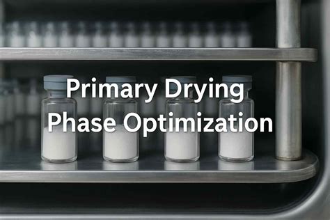Primary Drying Phase Optimization Strategies Models And Results