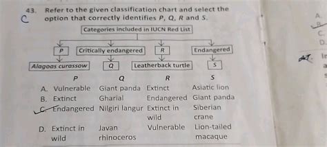 43 Refer To The Given Classification Chart And Select The Option That Correctly Identifies P Q R