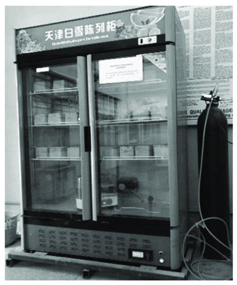 Accelerated Concrete Carbonation Test Chamber Download Scientific