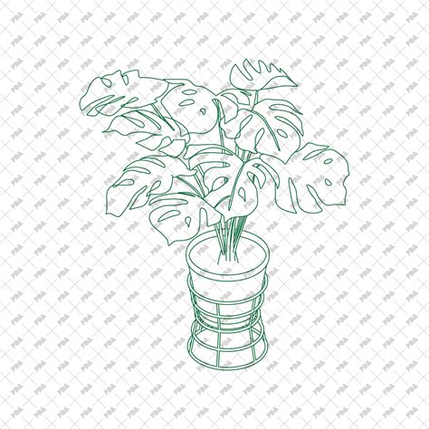 Cad，花盆中的矢量等距叶类植物 后数字建筑