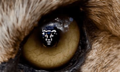 Online Course Cloud Computing Security From University Of Colorado System Class Central