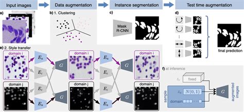 Overview Of The Nuclei Segmentation Pipeline With Multi Modality Style
