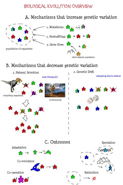 Software Creation Mystery Comparing Intelligent Software Evolution To Chaotic Biological Evolution